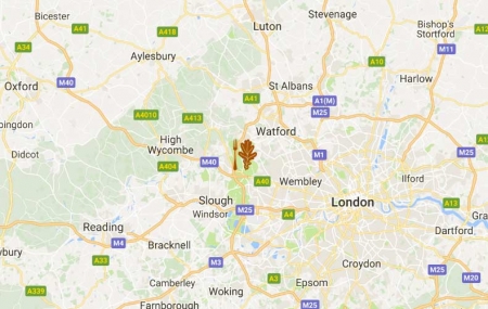 Welcome - The Swan Inn